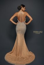 Pageant Dresses | Terani Couture 2019 Pageant Dresses
